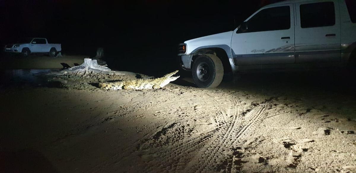 WATCH: Fisherman's close encounter with 'groot krokodil' | The Citizen