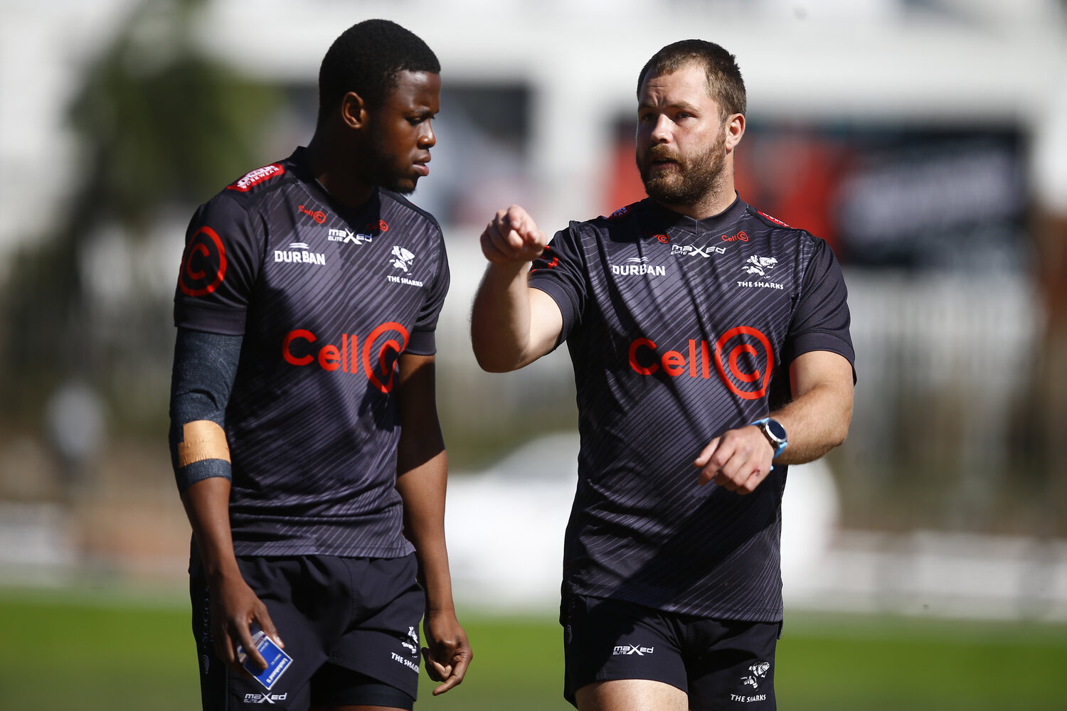 Watch: Sharks unveil new playing jersey for 2022/23 URC season