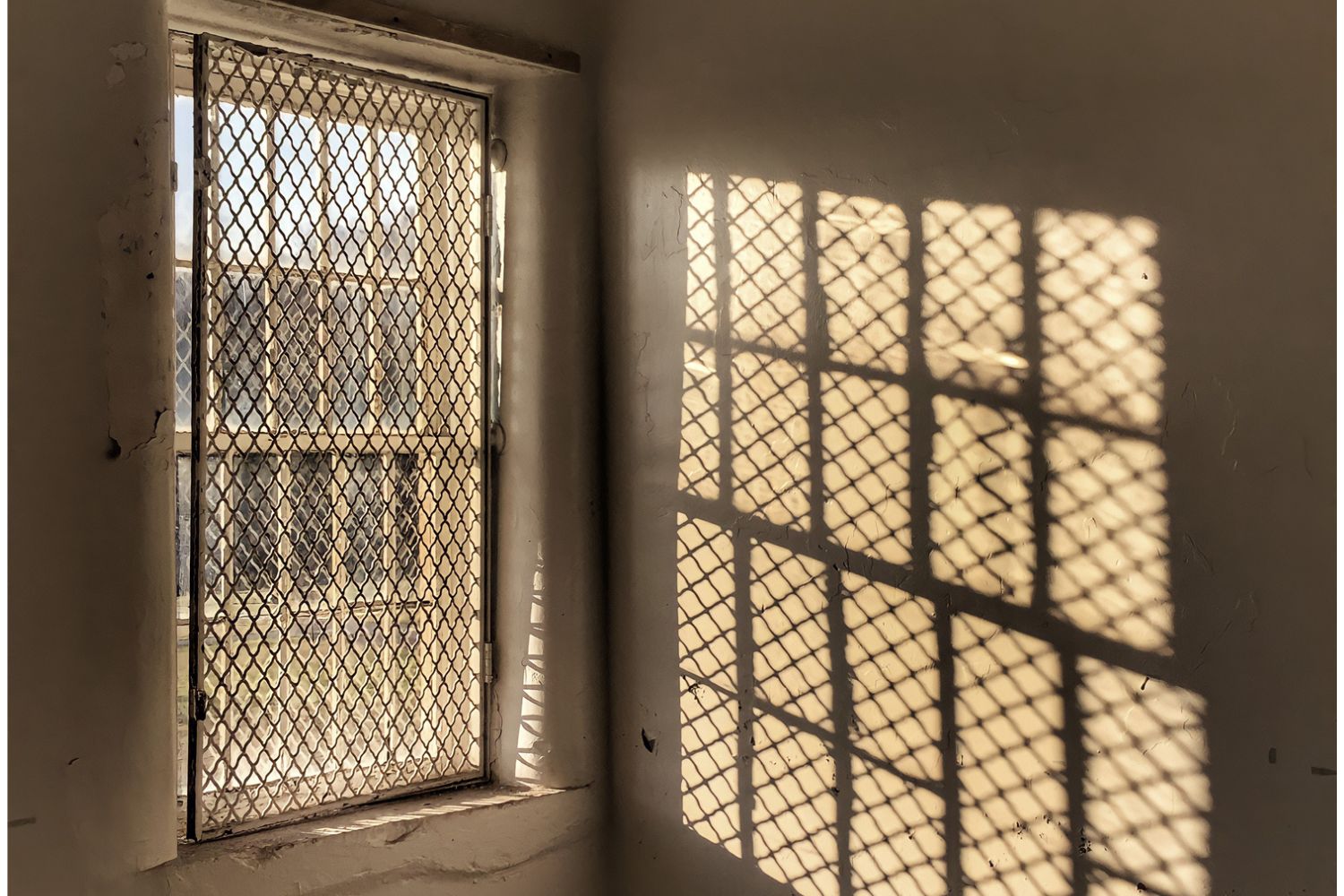 Psychiatric patient's attempted escape ends in tragedy | The Citizen