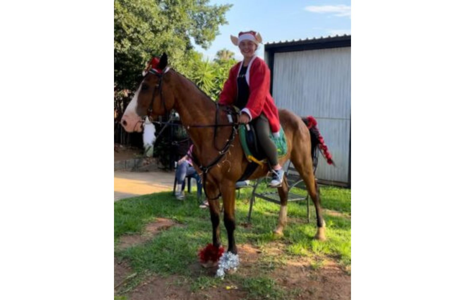 Teen electrocuted while riding horse in Pretoria | The Citizen