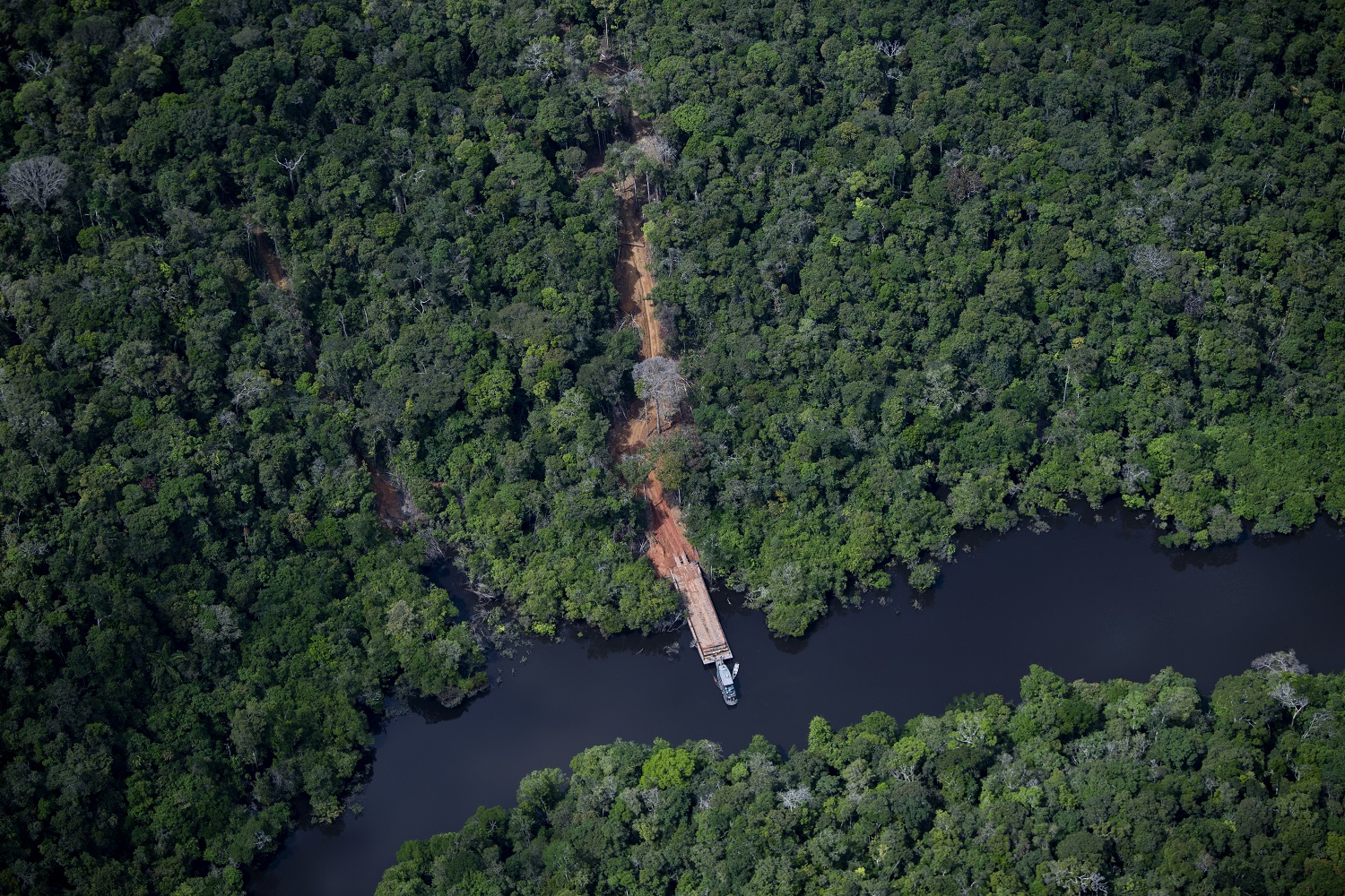 Tropical deforestation significantly reduces rainfall - study | The Citizen