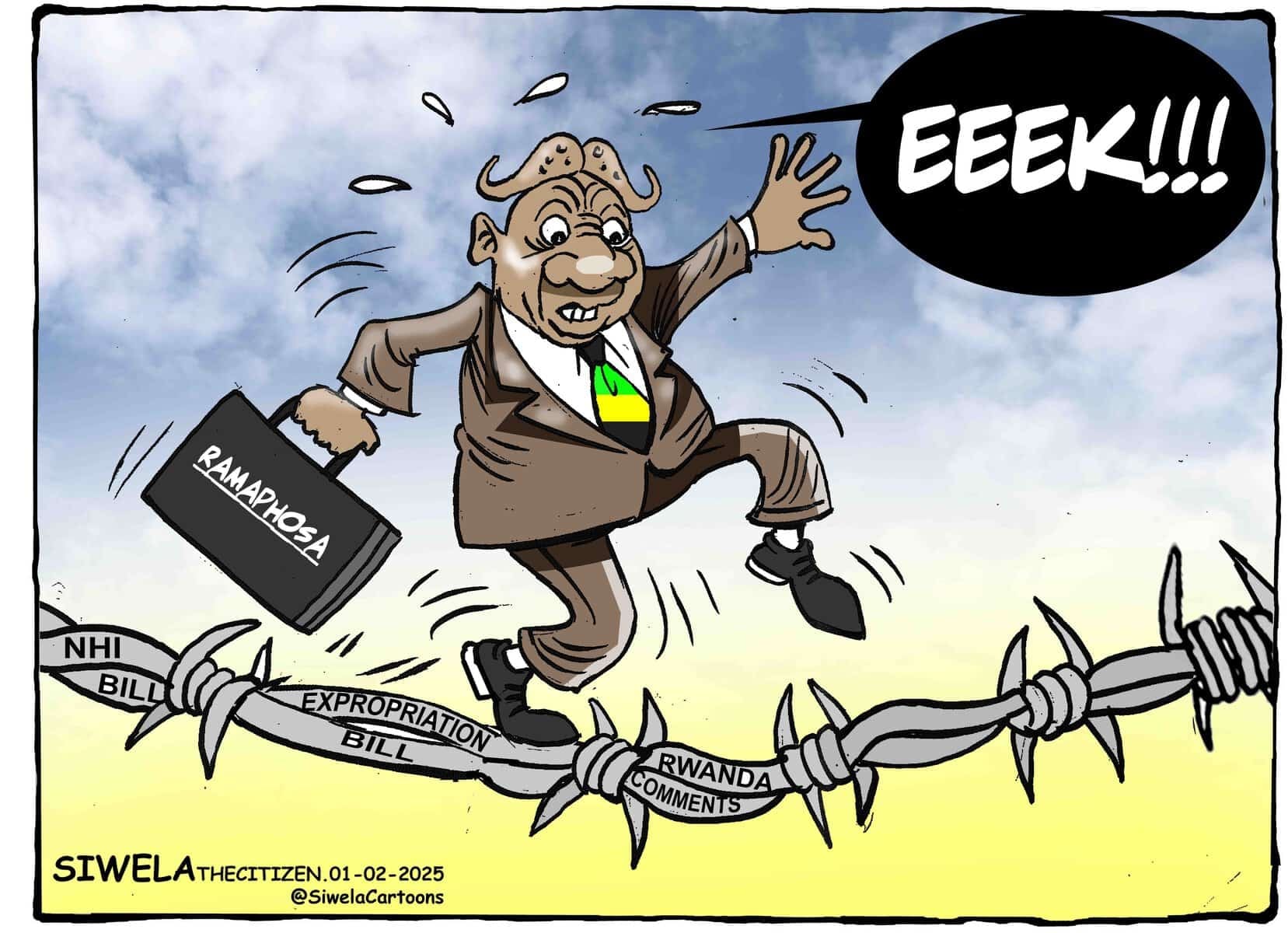 Cartoon of the day | The Citizen