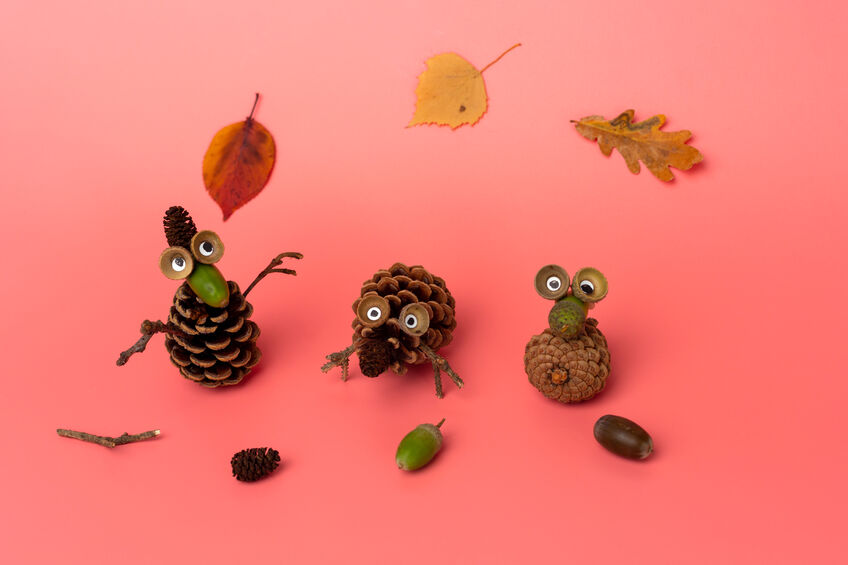 Pinecone animals: How to make them - Zululand Observer