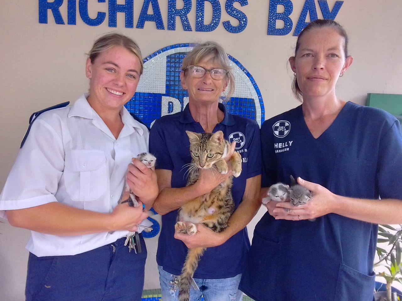 WATCH: Feral cat calls Richards Bay SPCA staff to show them her kittens ...