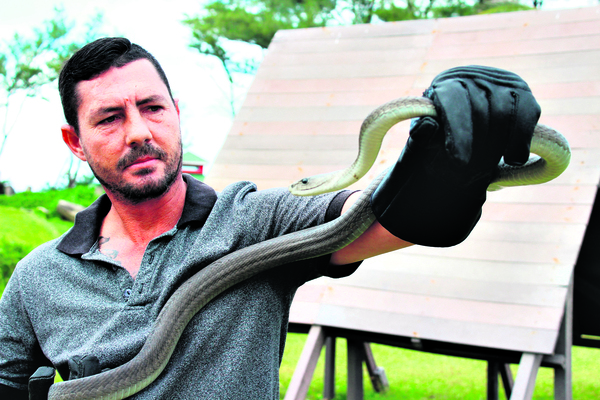 WATCH: Mambas are handled with kit glove safety | Zululand Observer