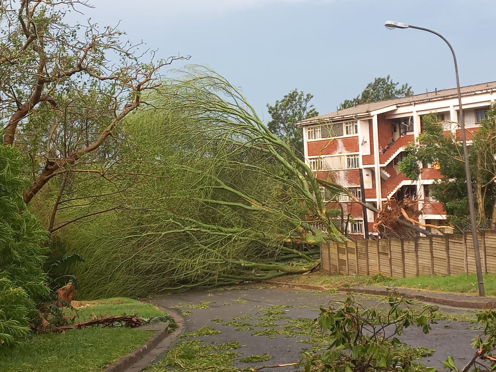 WATCH: Aftermath of severe thunderstorm in Zululand region | Zululand ...