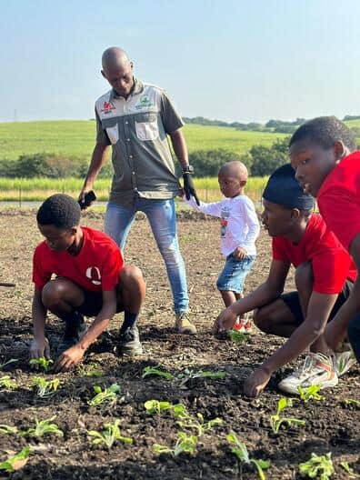 Zululand gardening project sows seeds of hope | Zululand Observer